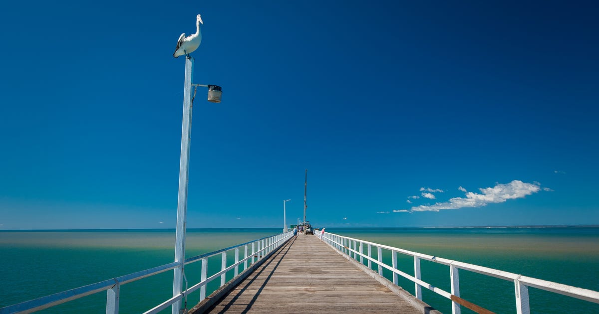 38 Seagull Circuit, Point Vernon QLD 4655 - property.com.au