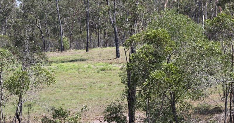 257 Svenssons Road, Booyal QLD 4671 - property.com.au
