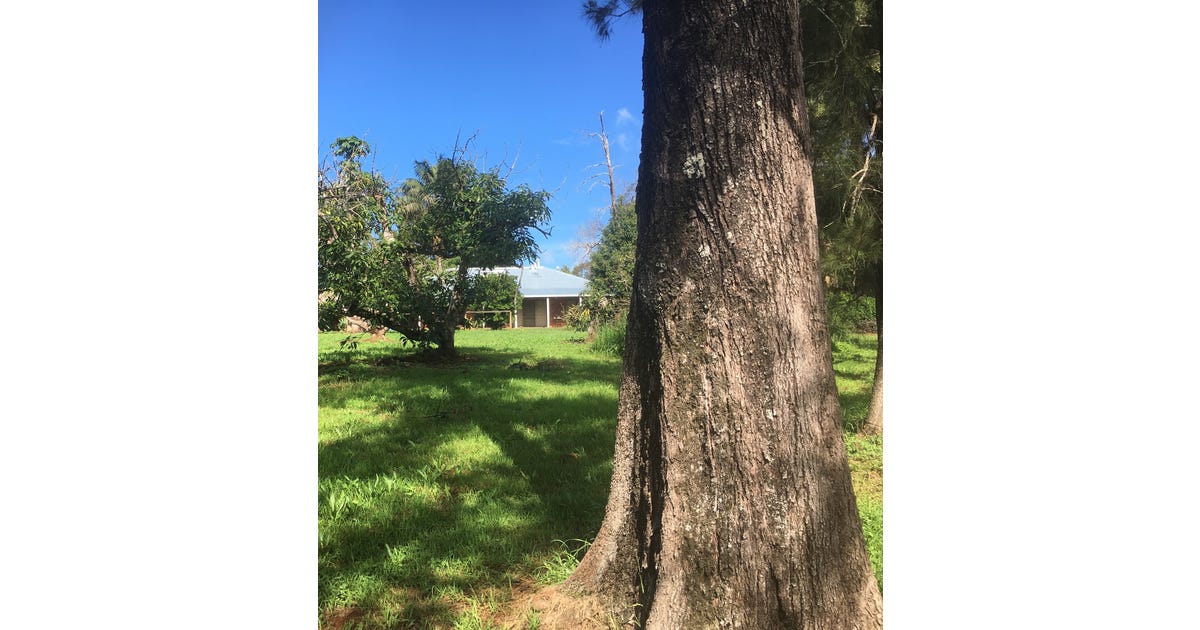 19 Hewetsons Lane, Rous Mill NSW 2477 - property.com.au