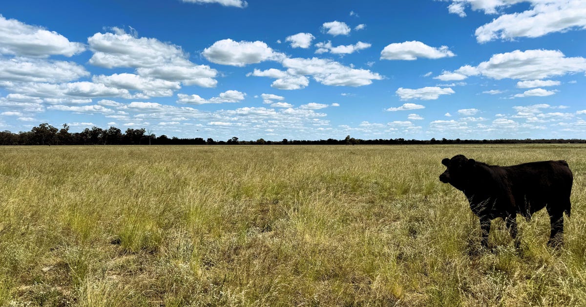 1857 Stumpy Lane, Wee Waa NSW 2388 - property.com.au