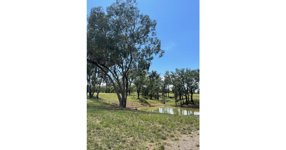 12 Burundah Drive, Warialda NSW 2402 - property.com.au