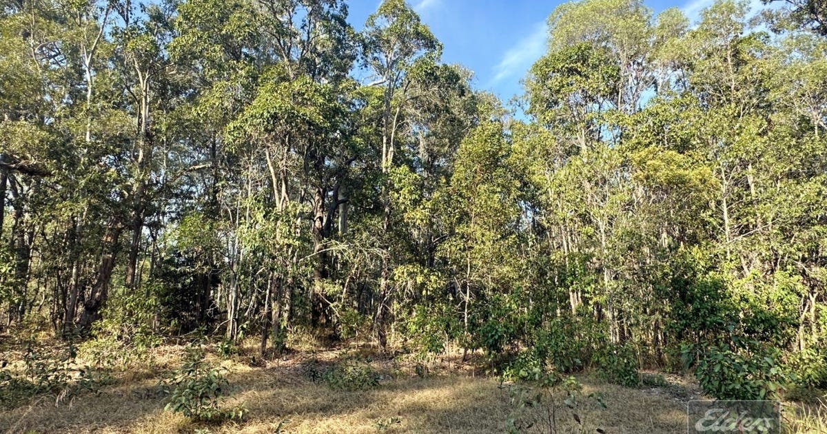 Lot 169 Forestry Road, Bauple Forest QLD 4650 - property.com.au