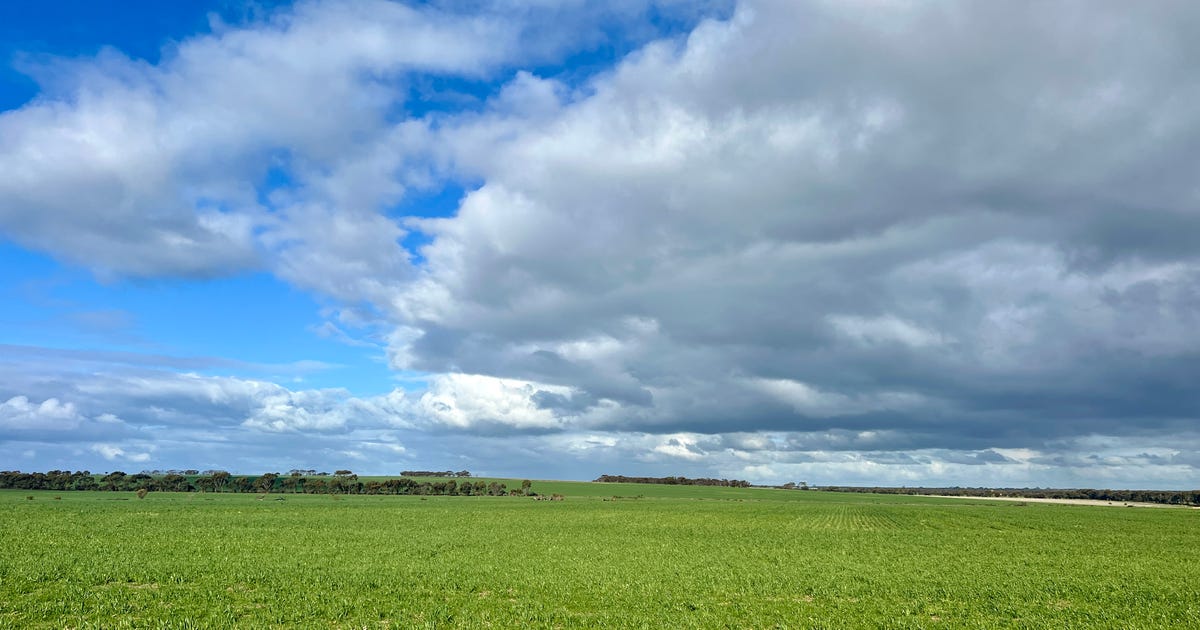 409 Dixon Road, Pingrup WA 6343 - property.com.au