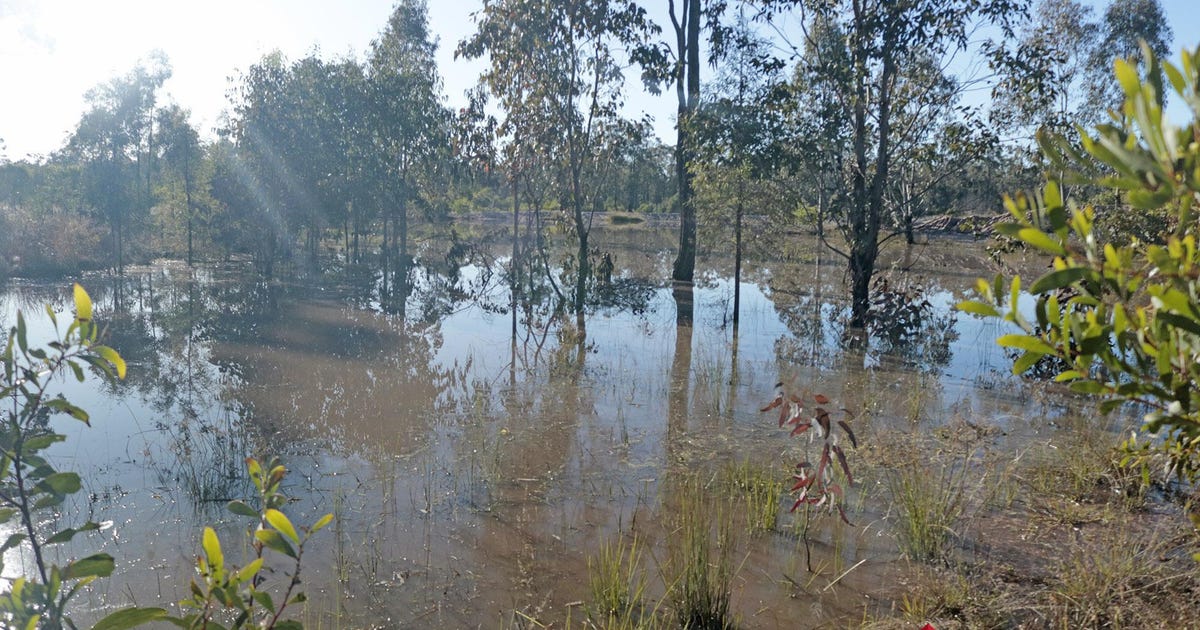 446 Stanmore Road, Coonambula QLD 4626 - property.com.au