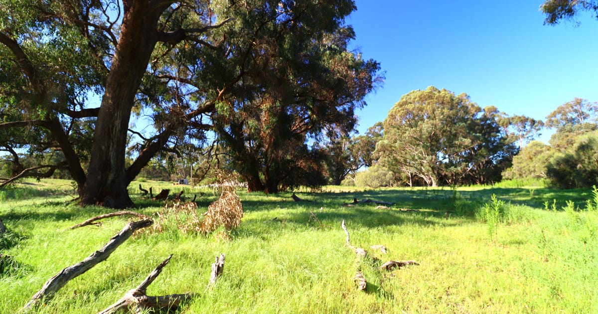 54 Outridge Road, Baldivis WA 6171 - property.com.au