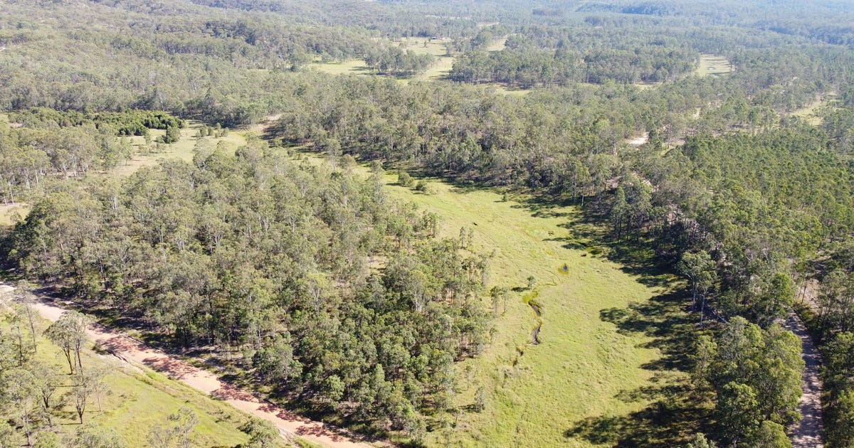 5719 Clarence Way, Upper Fine Flower NSW 2460 - property.com.au