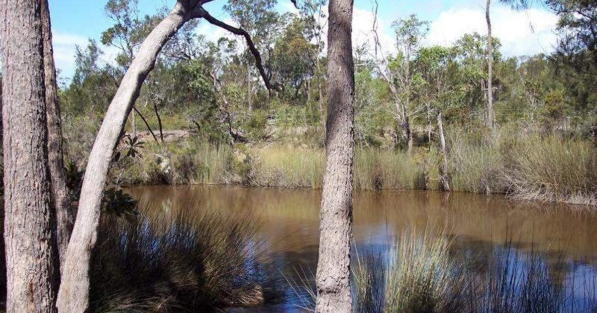 145 Woods West Road, Alloway QLD 4670 - property.com.au