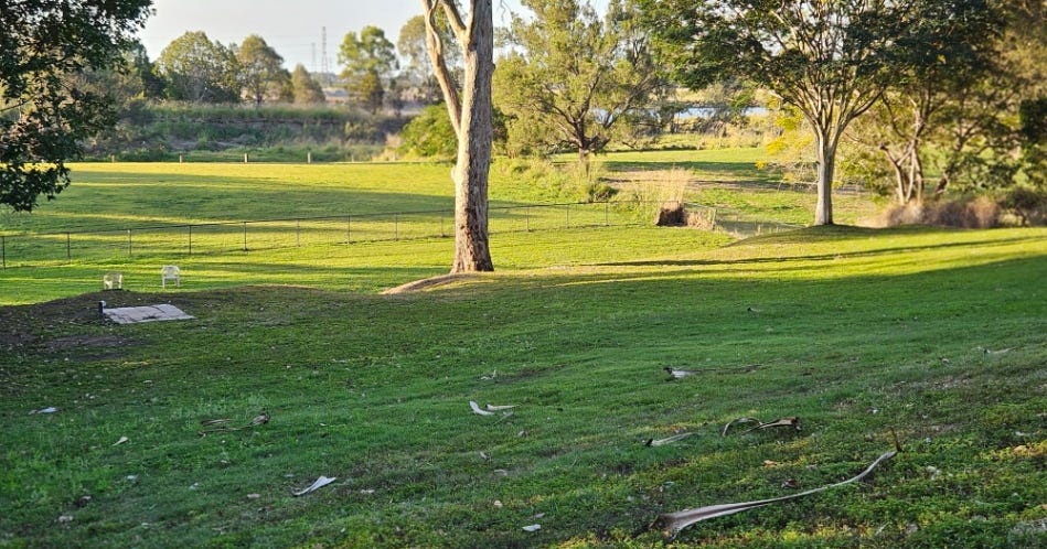 105 Priestley Road, Bridgeman Downs QLD 4035 - property.com.au