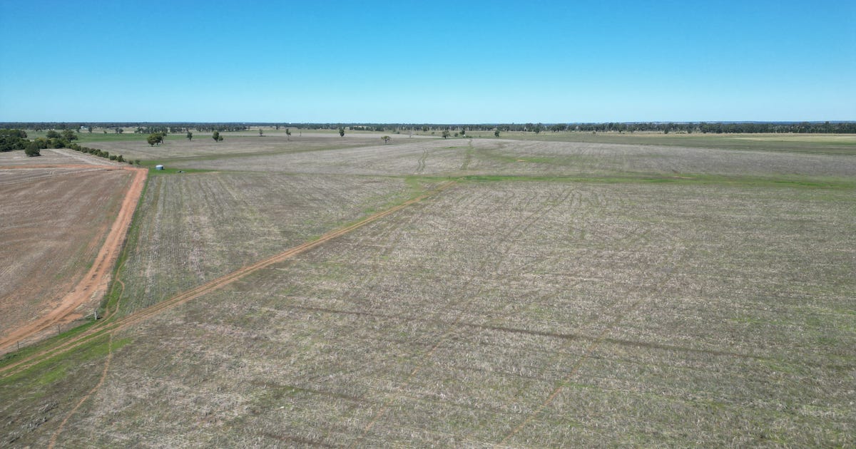 678 Arthursleigh Road, Gilgandra NSW 2827 - property.com.au