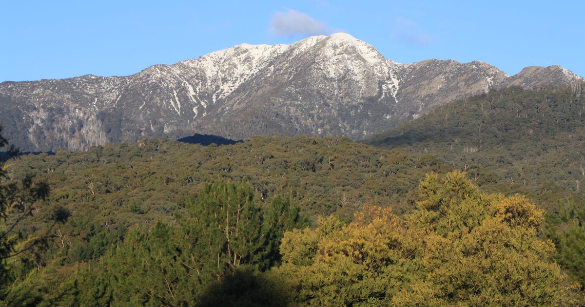 23 Alpine Ridge Drive, Merrijig VIC 3723 - property.com.au