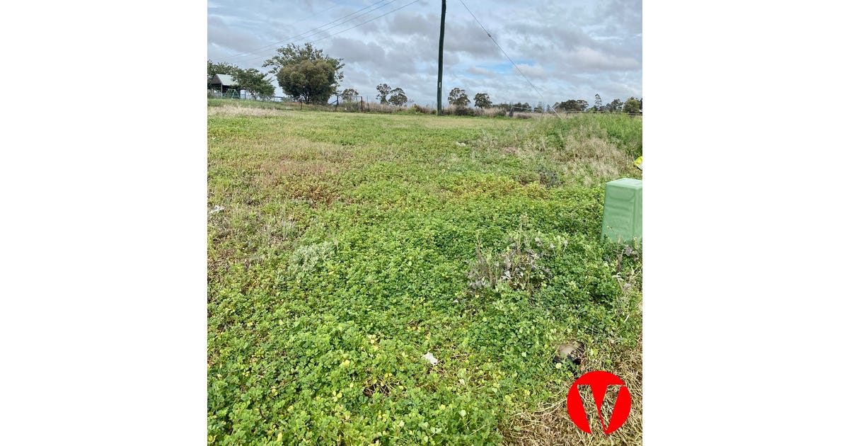 45 Wheeler Drive, Roma QLD 4455 - property.com.au