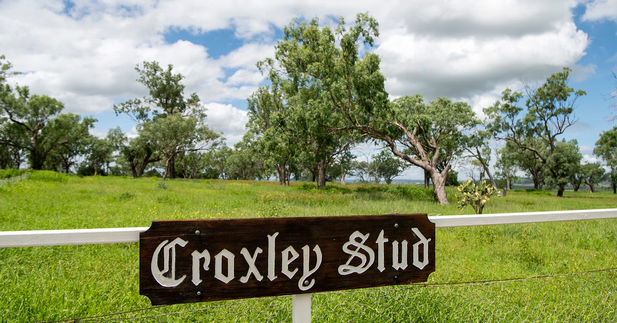 259 Croxley Road, Biddeston QLD 4401 - property.com.au