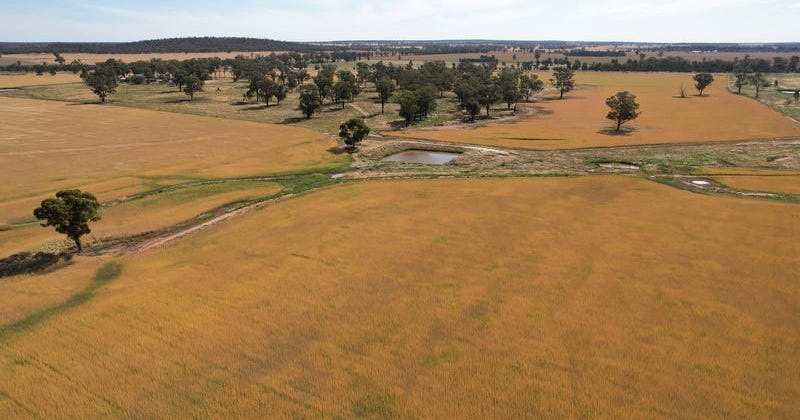 1610 Goldfields Way, Gidginbung NSW 2666 - property.com.au