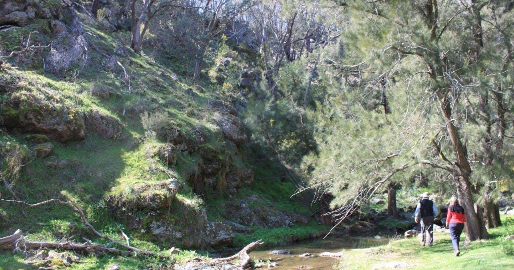 593 Glenrock Road, Cavan NSW 2582 - property.com.au
