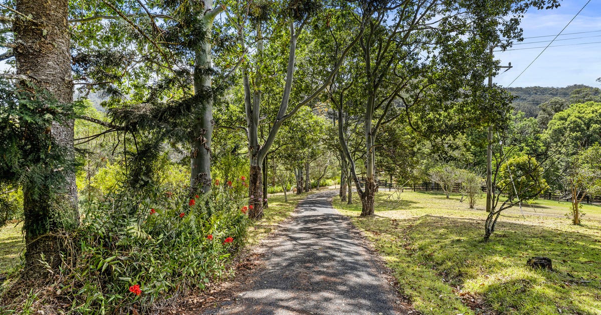 1181 Tyalgum Road, Tyalgum NSW 2484 - property.com.au