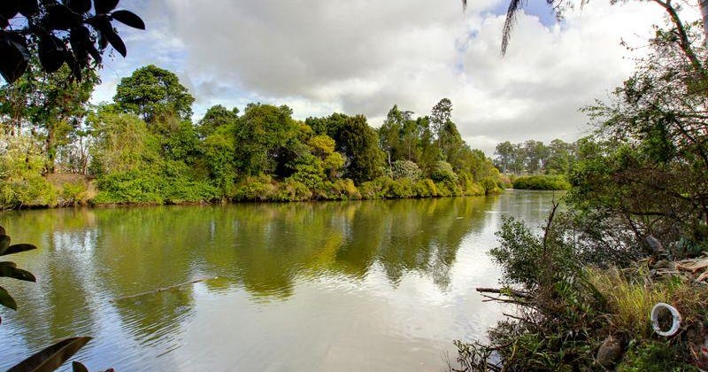 25 Nerang River Drive, Nerang QLD 4211 - property.com.au
