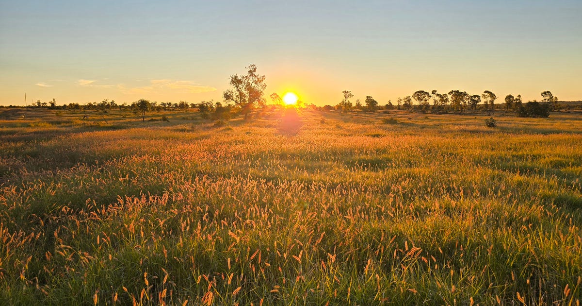 7286 Roma Southern Road, Ballaroo QLD 4455 - property.com.au