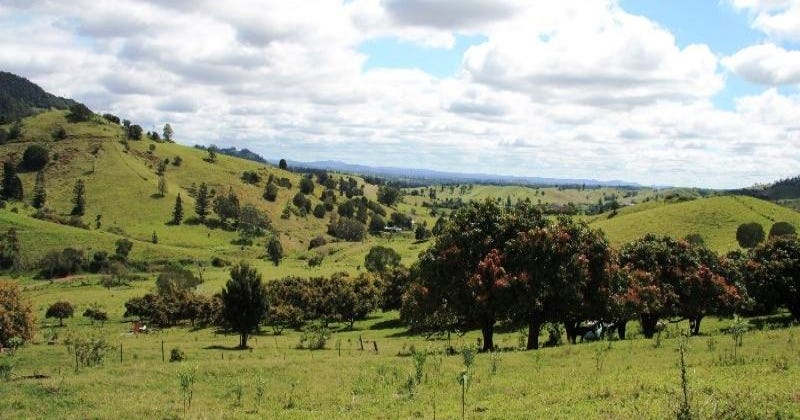 1021 Mooloo Road, Mooloo QLD 4570 - property.com.au