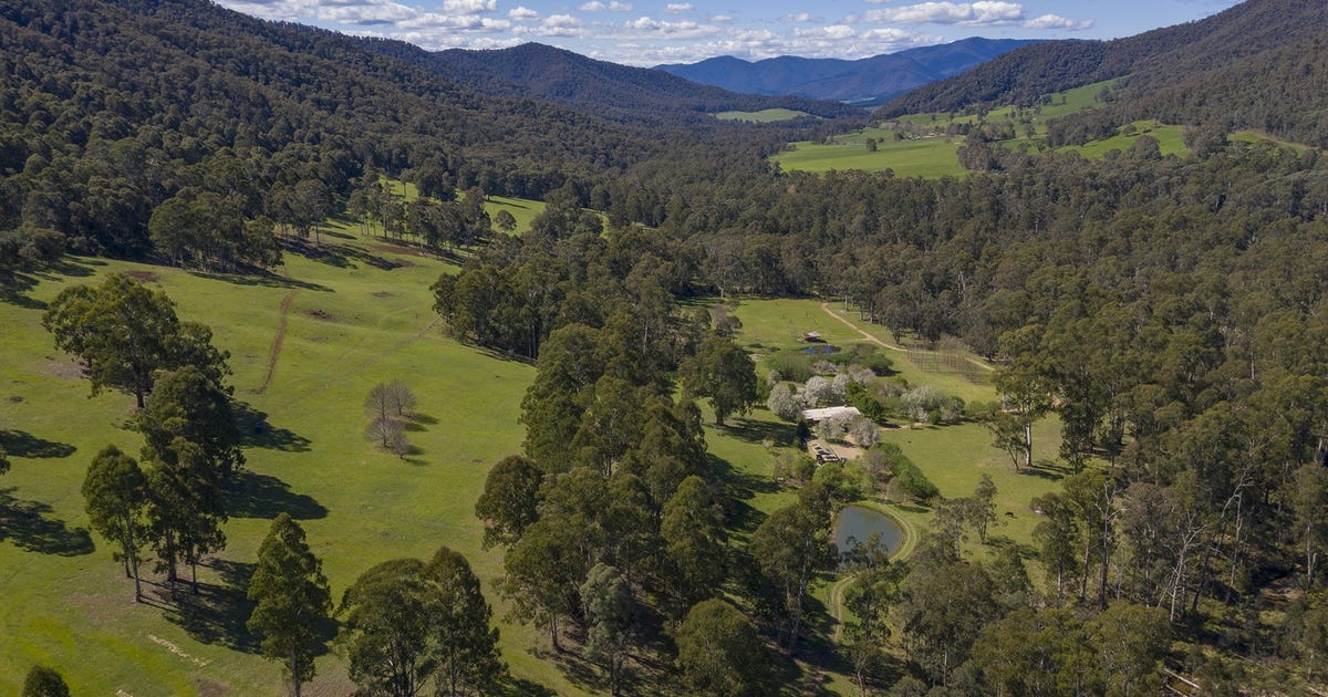 90 Swamp Wallaby Track, Buckland VIC 3740 - property.com.au