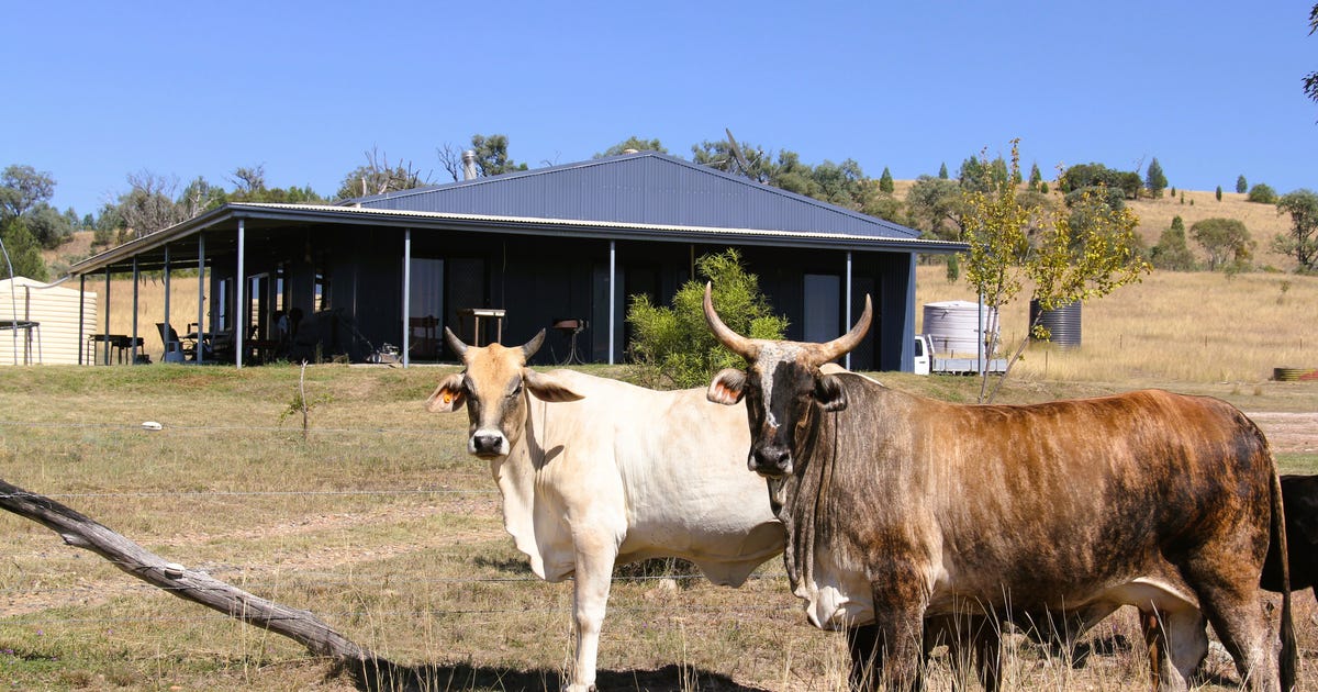 1854 Glenlyon Dam Road, Mingoola QLD 4380 - property.com.au