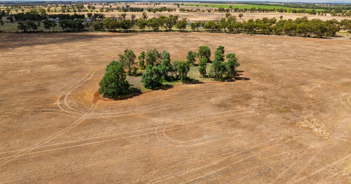 3426 Goldfields Way, Barmedman NSW 2668 - property.com.au