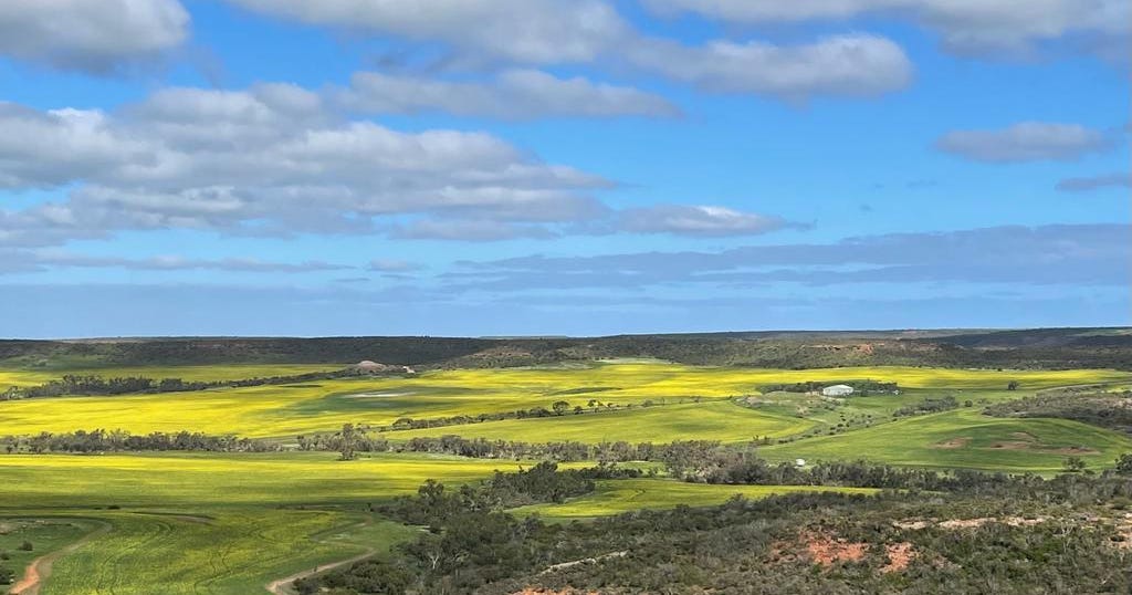 405 Murphy Yetna Road, Yetna WA 6532 - property.com.au
