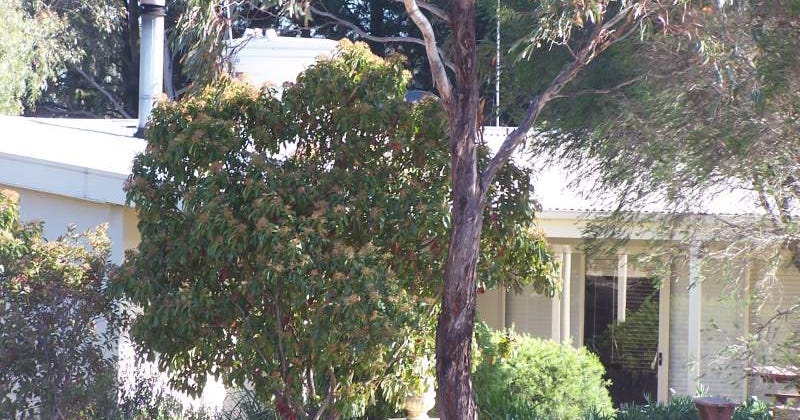 20 Cameron Rise, Beveridge VIC 3753 - property.com.au