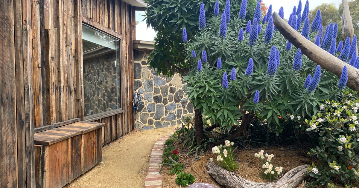 13 Old Rifle Range Road, Wonthaggi VIC 3995 - property.com.au