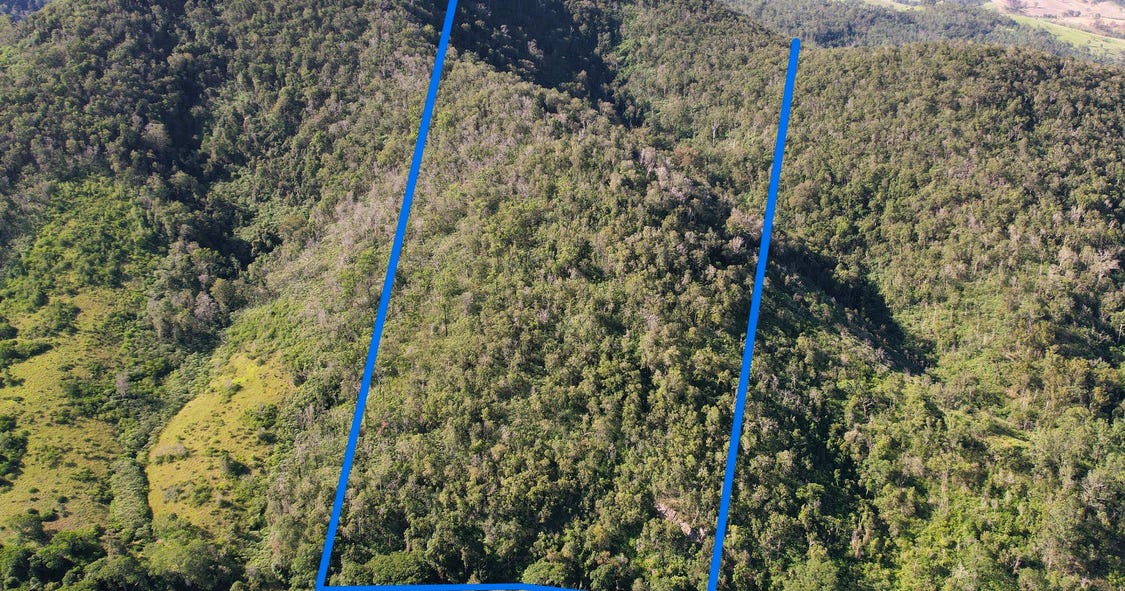 344 Cundle Flat Road, Cundle Flat NSW 2424 - property.com.au