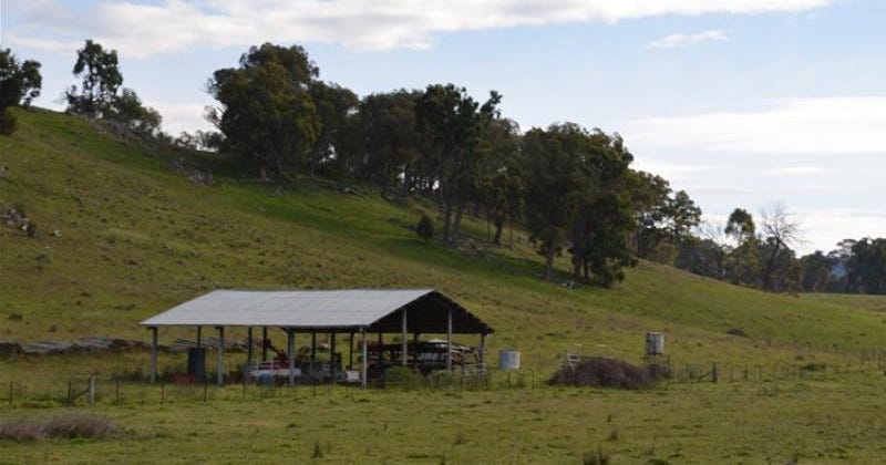 1011 Pyangle Road, Pyangle NSW 2849 - property.com.au