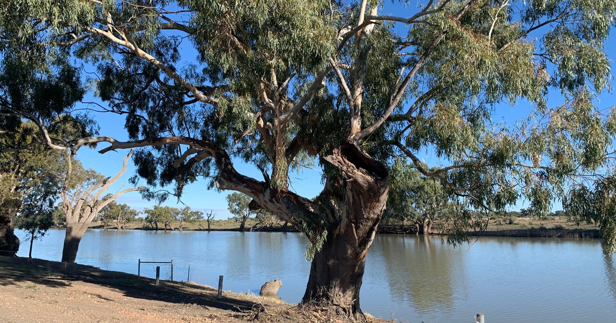 121 Pooncarie Road, Wentworth NSW 2648 - property.com.au