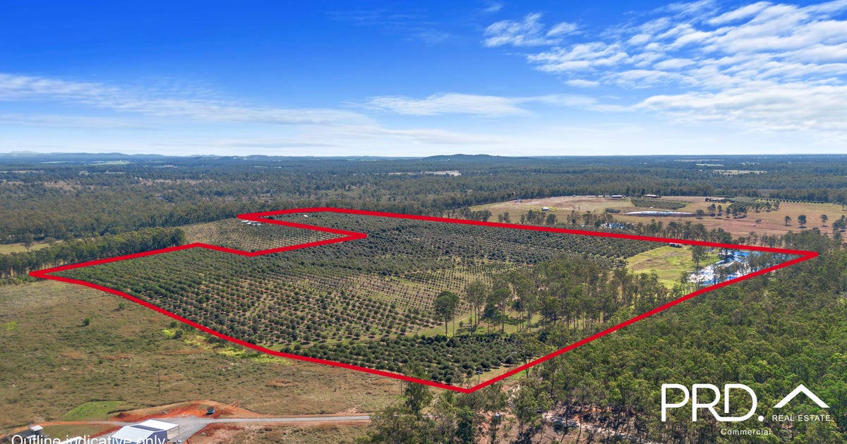 164 Old Bruce Highway, Owanyilla QLD 4650 - property.com.au