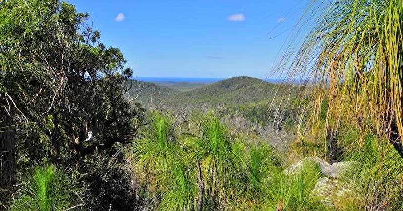 Lot 151 Josefski Road, Agnes Water QLD 4677 - property.com.au