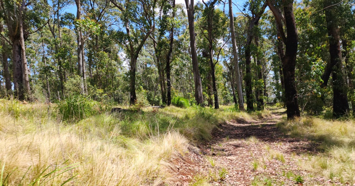 Lot 73 Gambubal Road, Mount Colliery QLD 4370 - property.com.au