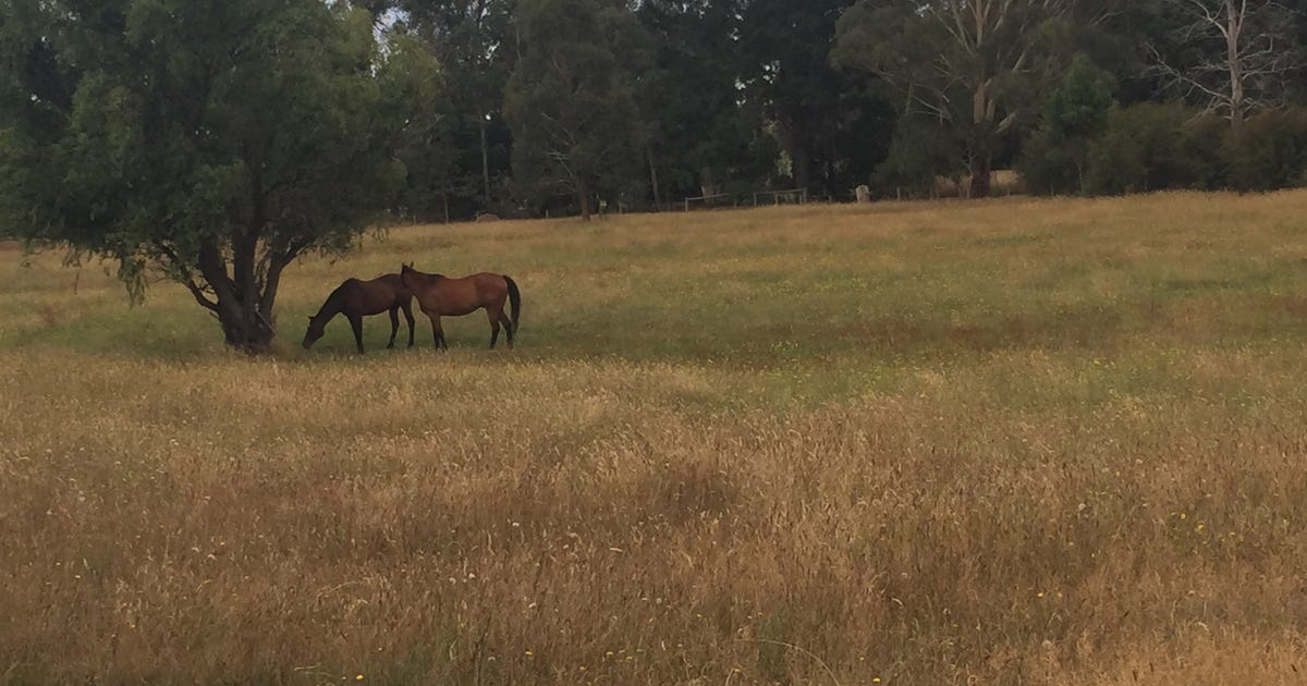 65 Tonkin Road, Labertouche VIC 3816 - property.com.au