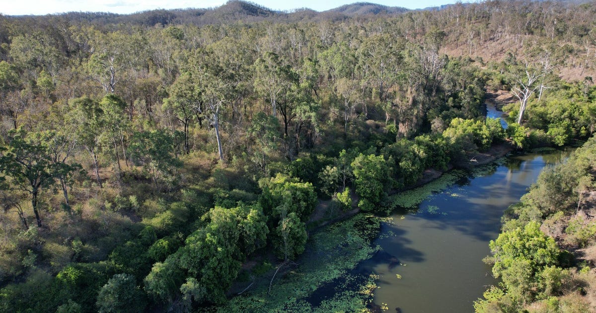 2967 Kalpowar Road, Kalpowar QLD 4630 - property.com.au