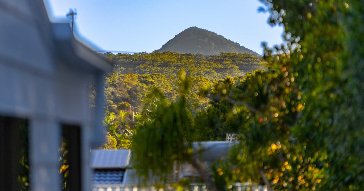 8 Foedera Cres, Tewantin QLD 4565 - property.com.au