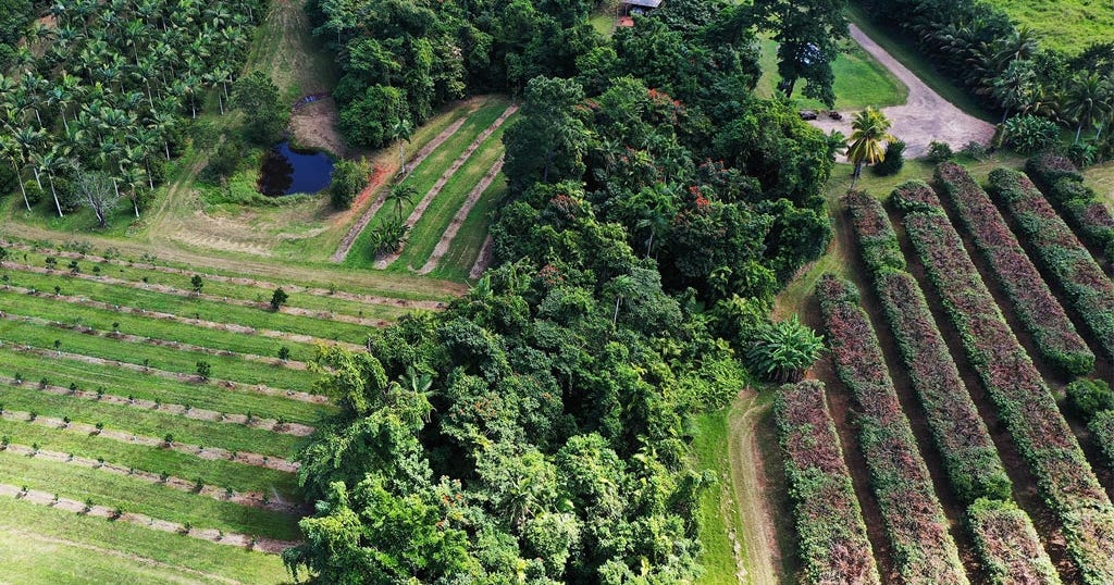 545 East Feluga Road, East Feluga QLD 4854 - property.com.au