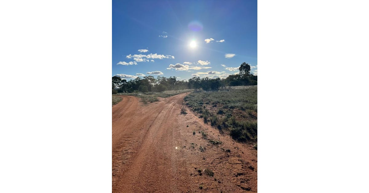 6432 Rosevale Road, Nymagee NSW 2831 - property.com.au