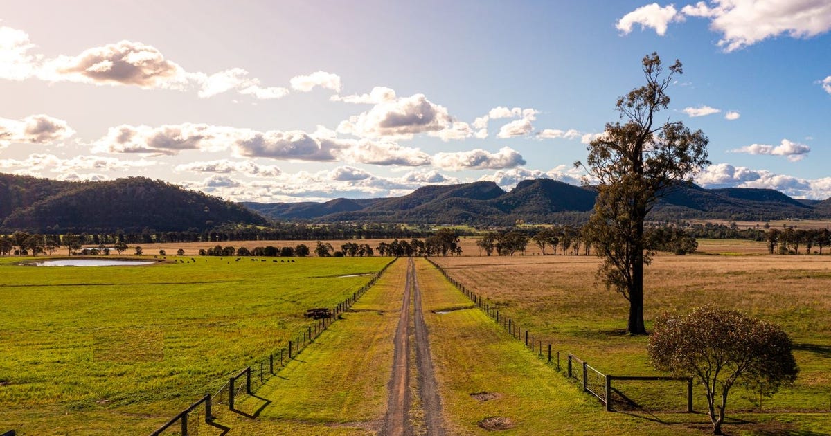 100 Richmond Grove Road, Sandy Hollow NSW 2333 - property.com.au