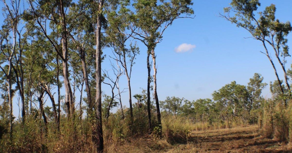 1780 Coach Road, Eva Valley NT 0822 - property.com.au