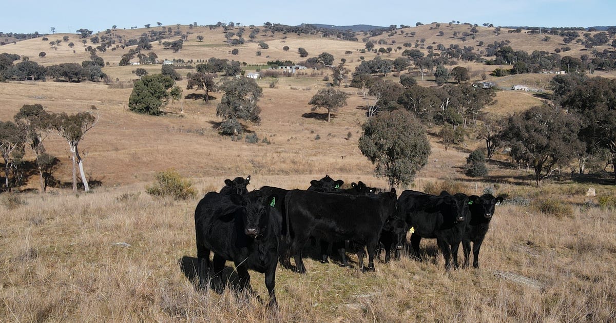 1562 Lower Lewis Ponds Road, Lower Lewis Ponds NSW 2800 - property.com.au