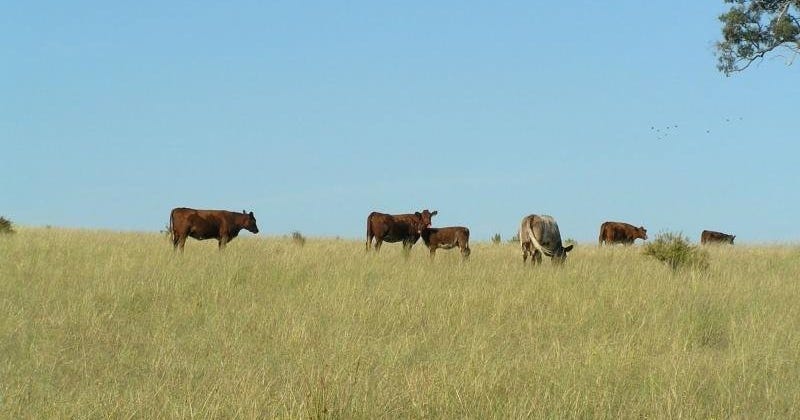 1112 Summerhill Road, Turill NSW 2850 - property.com.au