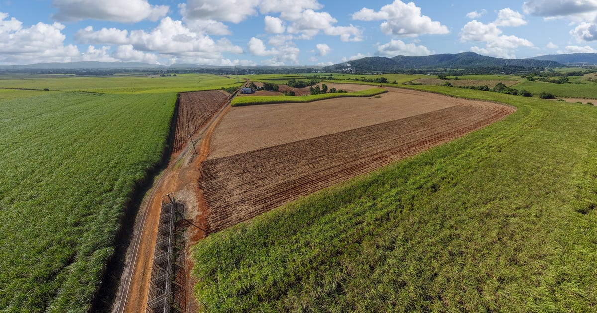 1 Mizzi Road, No 6 Branch QLD 4859 - property.com.au