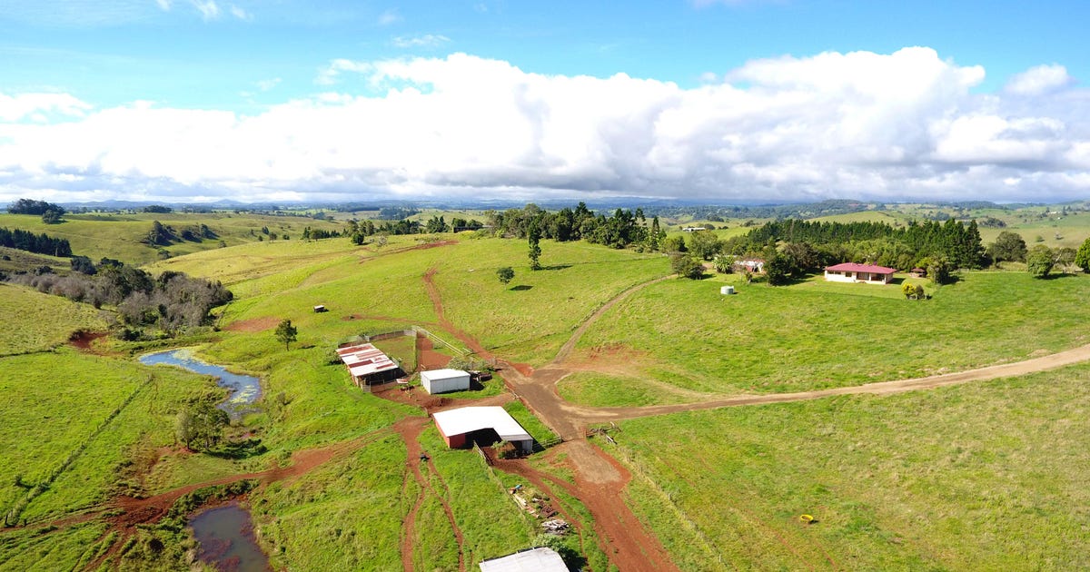 492 Seamark Road, Jaggan QLD 4885 - property.com.au