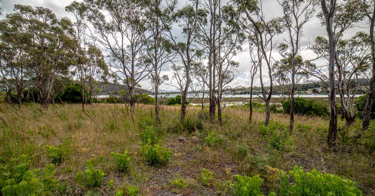 20 Colleen Cres, Primrose Sands TAS 7173 - property.com.au