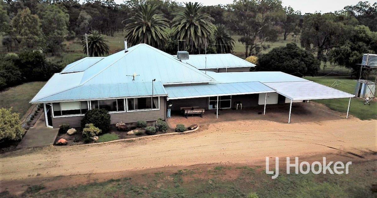 356 Eddy Park Lane, Gum Flat NSW 2360 - property.com.au