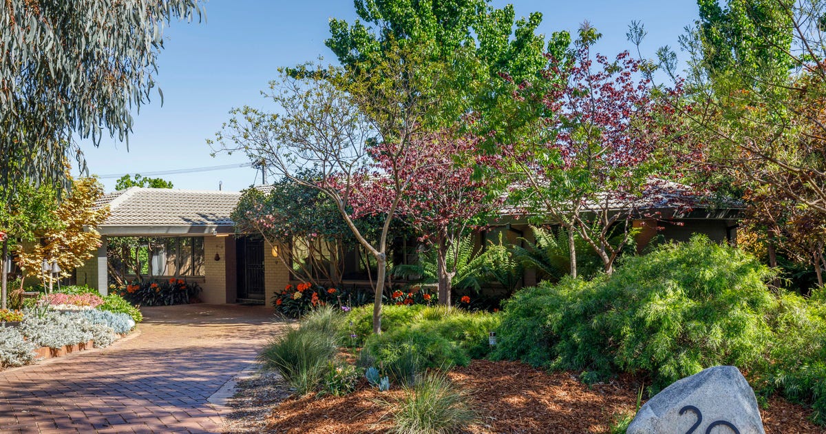 20 Lynch Street, Hughes ACT 2605 - property.com.au