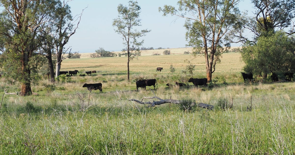 13527 Gwydir Highway, Warialda NSW 2402 - property.com.au