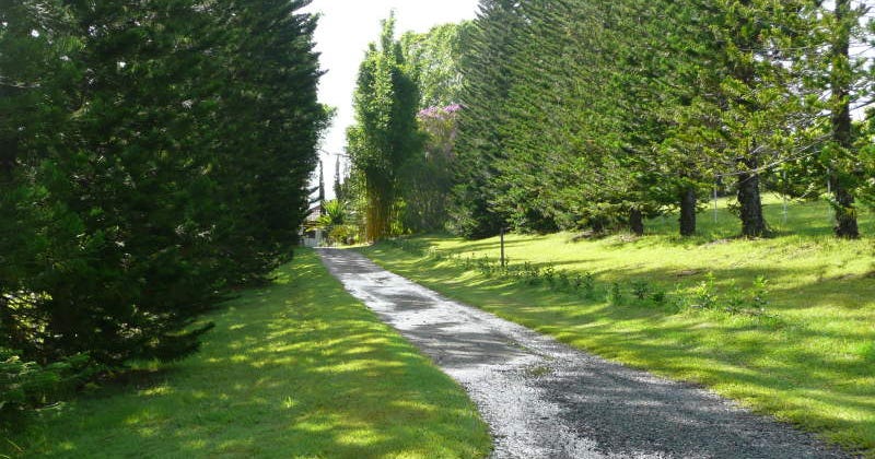 5 Darwalla Road, Mount Nathan QLD 4211 - property.com.au